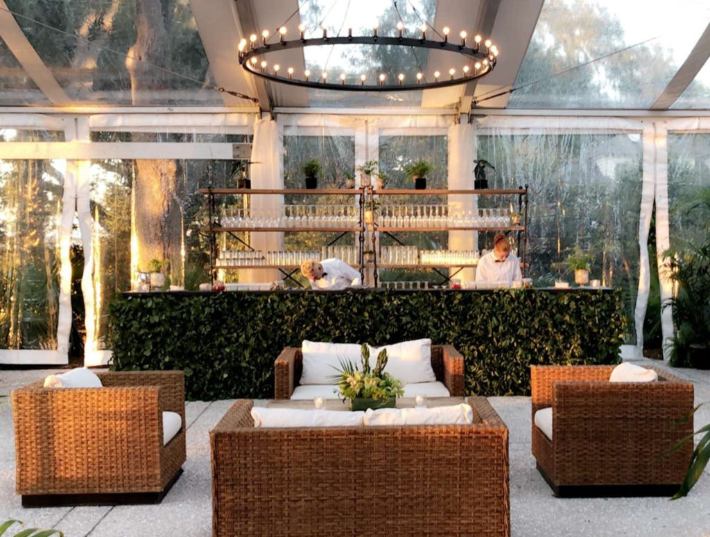 Live Greenery Bar - Loluma