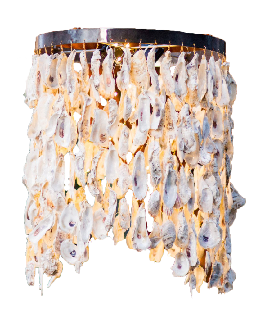 Oyster Shell Chandelier - Loluma