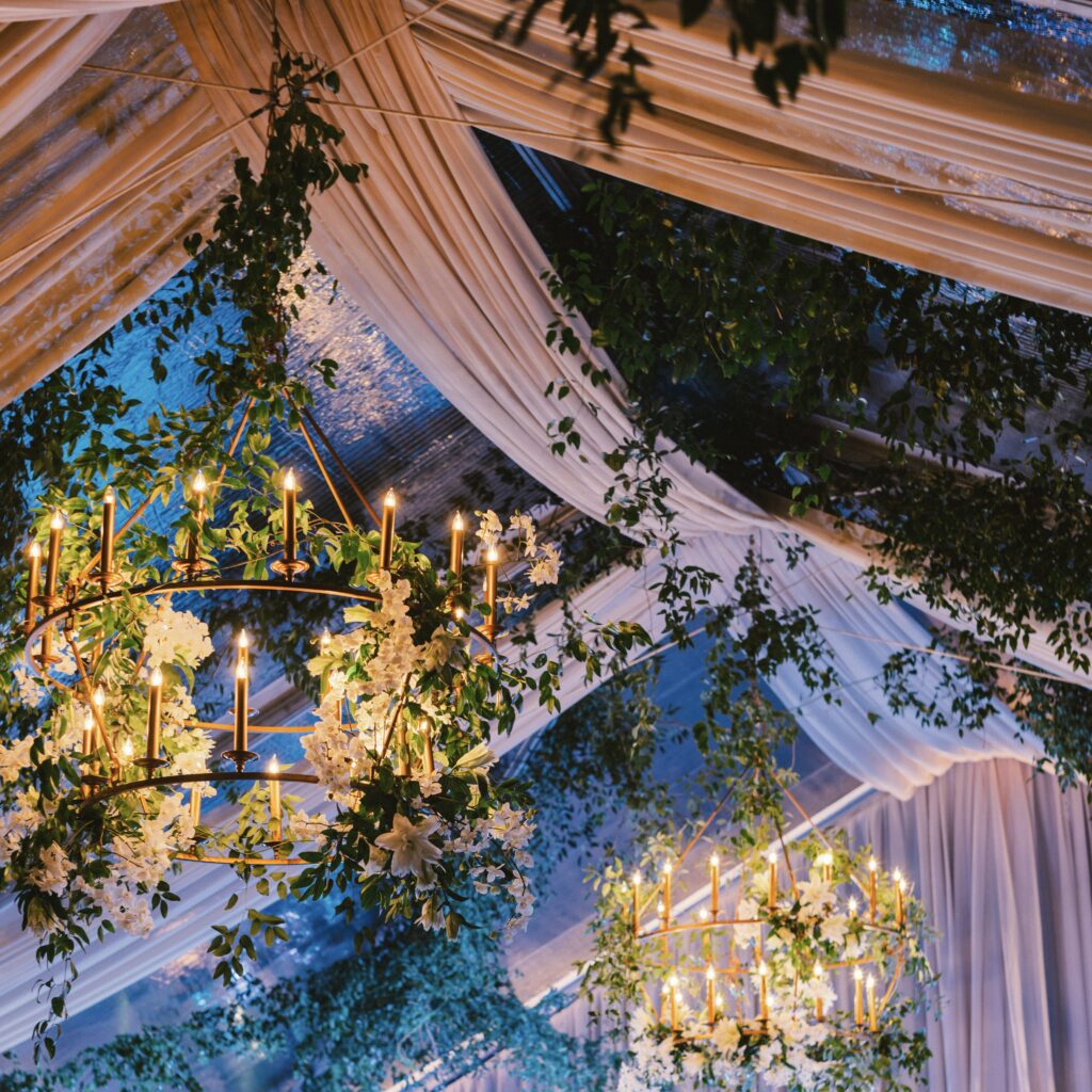 Partial Ceiling - Loluma