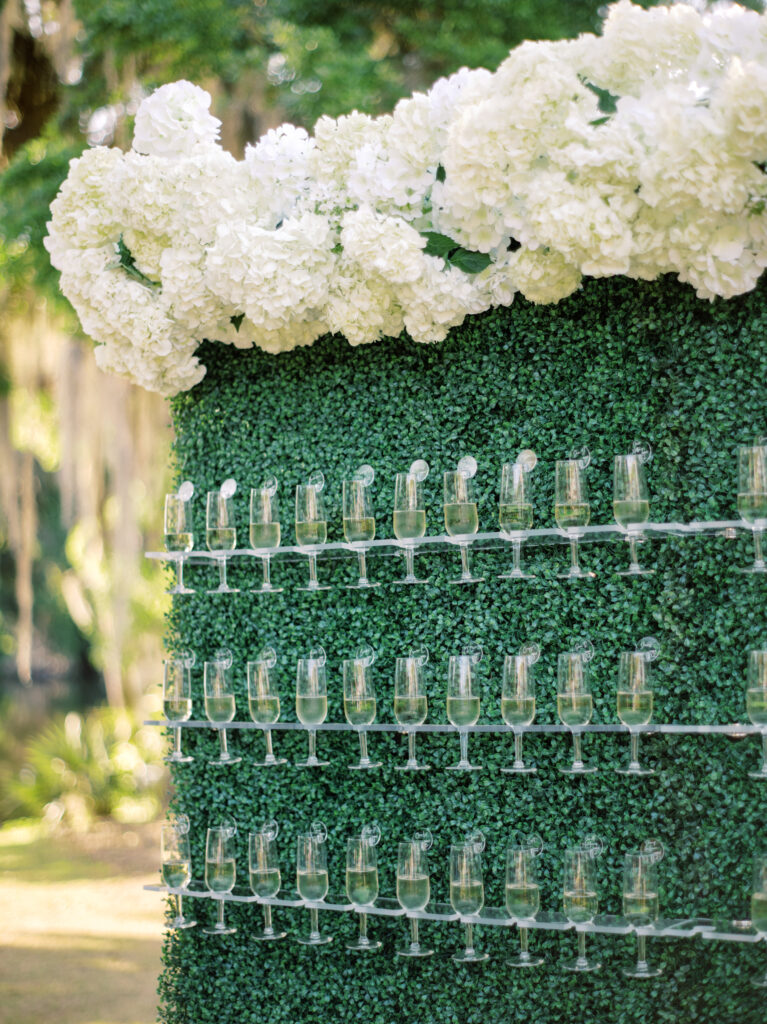 Boxwood Champagne Wall - Loluma